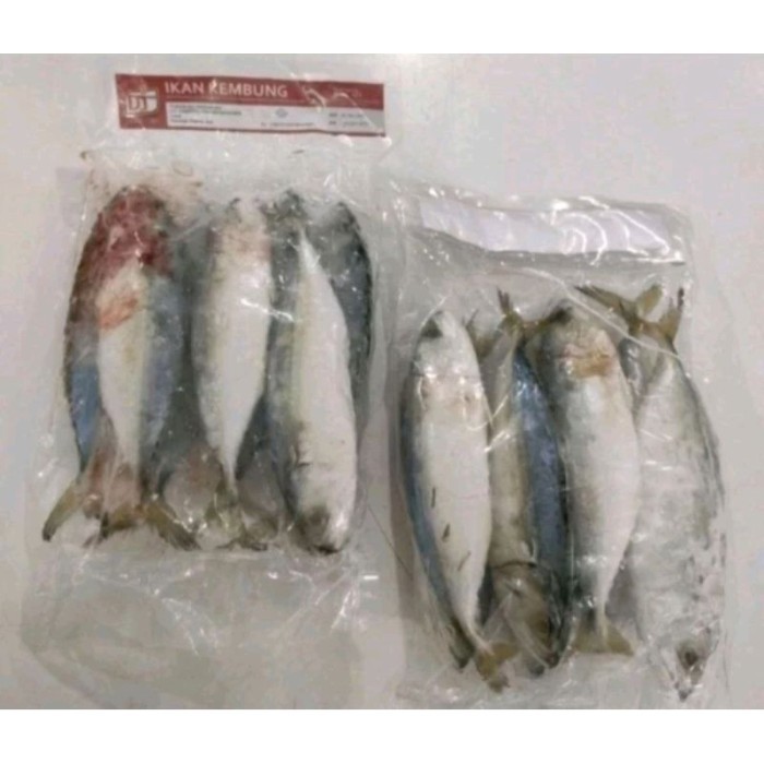 Jual Ikan Kembung Banjar Beku Frozen 1Kg isi 6-8 pcs | Shopee Indonesia