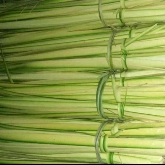 Jual DAUN KELAPA MUDA/JANUR KUNING UNTUK BUAT KETUPAT & KERAJINAN 20 ...