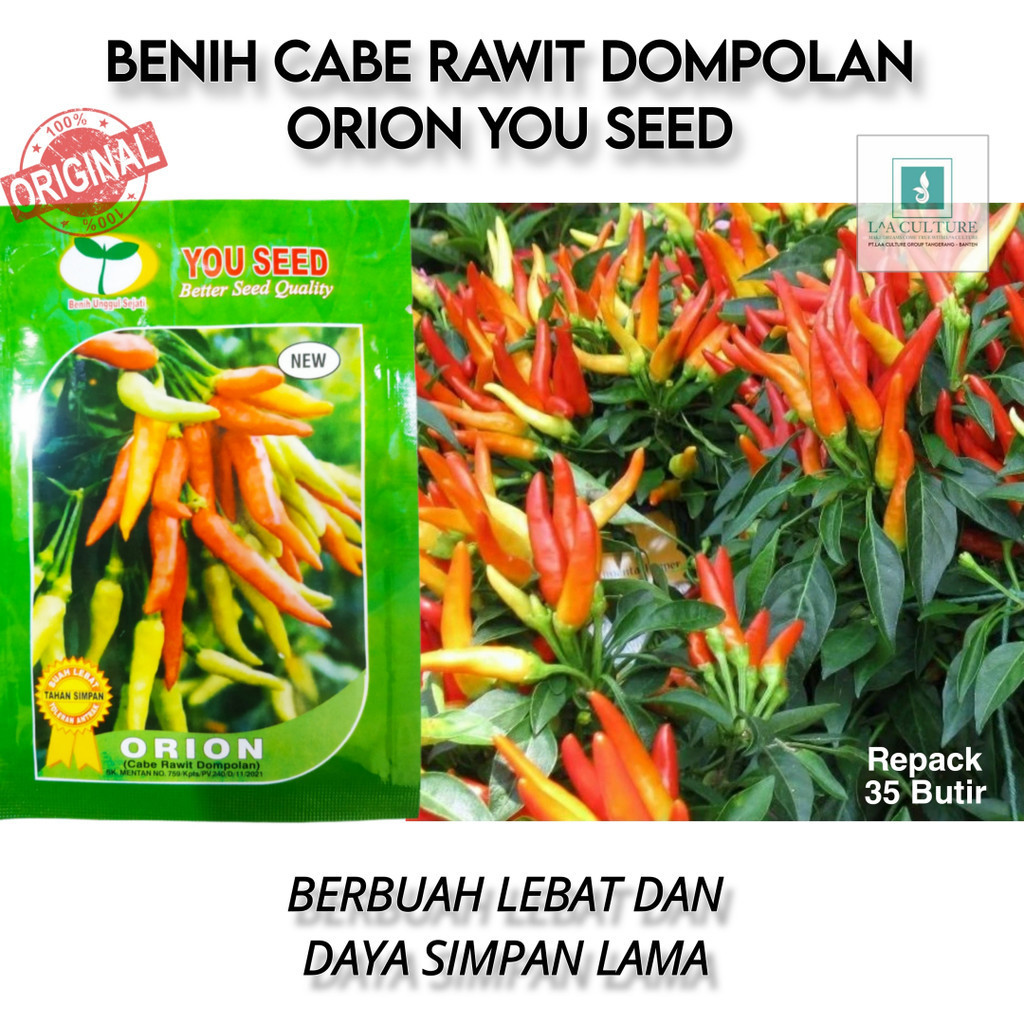 Jual Benih Cabe Cabai Rawit Dompolan ORION Isi 35 Butir Repack You Seed ...
