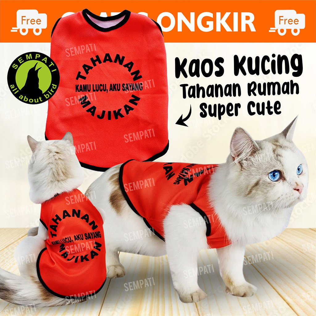 Jual Baju Kucing Model Tahanan Majikan Baju Hewan Peliharaan Kucing ...