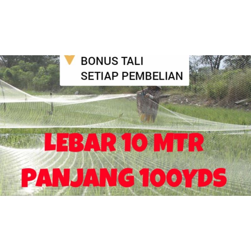 Jual JARING SAWAH LEBAR 10 METER LUBANG 2 INCH SENAR TEBAL 0.15 mm jaring padi jaring burung ...