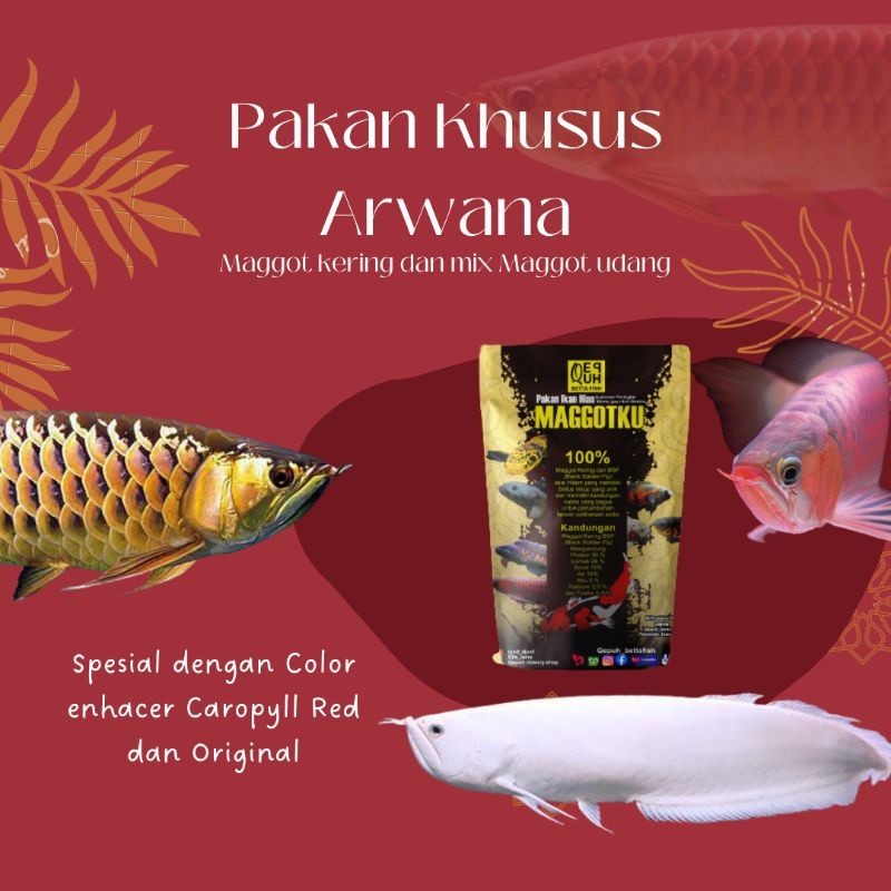 Jual PELET PAKAN ARWANA SUPER RED SILVER RED JARDINI GOLDEN MAGGOT ...