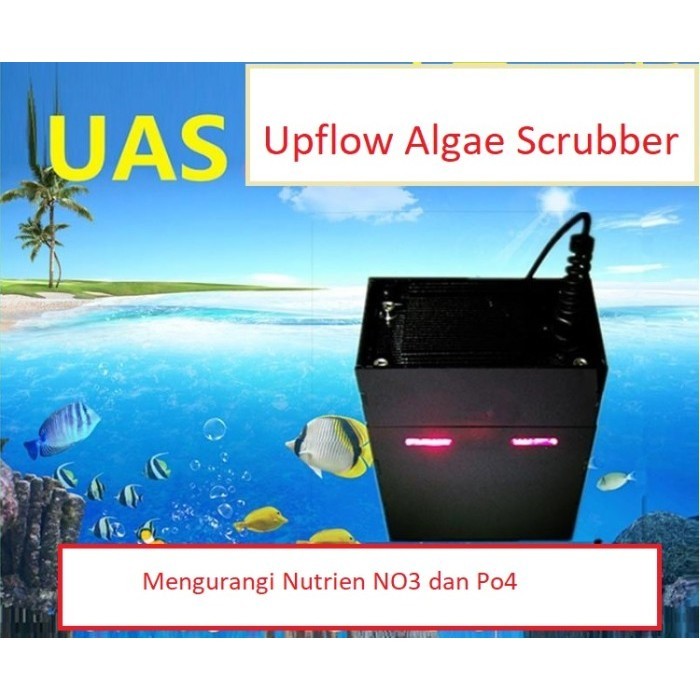 Jual Algae Box UAS Upflow Algae Scrubber NO3 PO4 Penyerap Nitrat dan ...