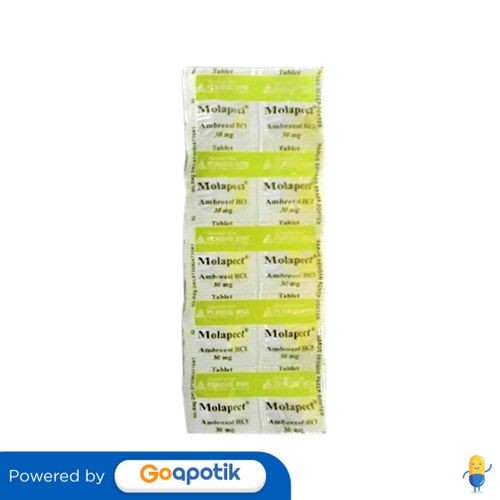 Jual Molapect Strip Isi 10 Tablet | Shopee Indonesia