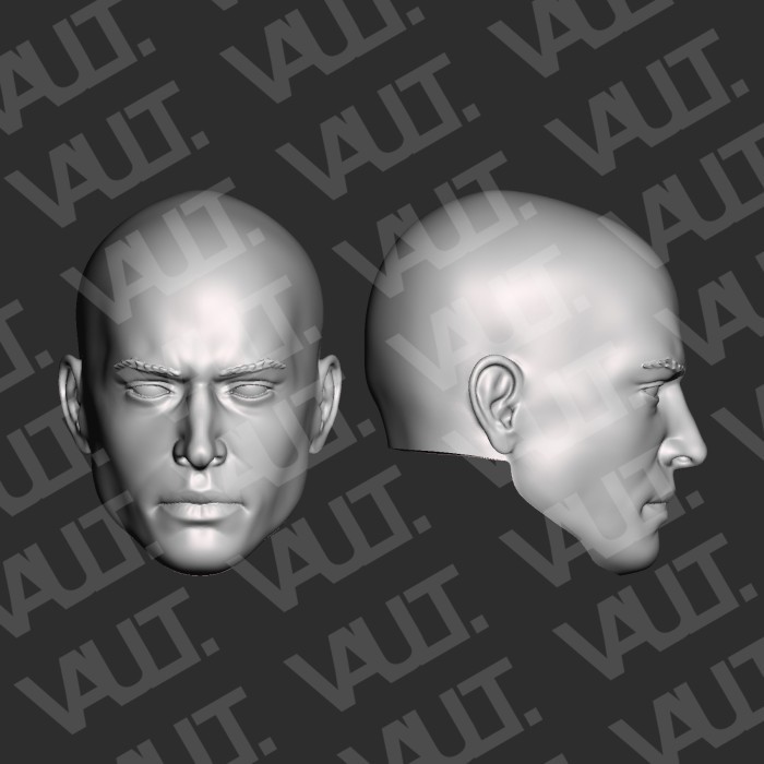 Jual Figure Custome Head DC Comics Lex Luthor Sculpt Mezco Nota Mixmax Multiverse HS | Shopee ...