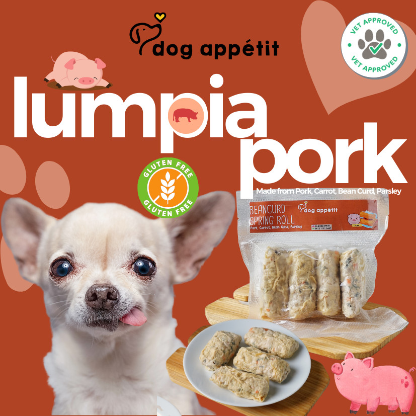 Jual DOG APPETIT - Beancurd Spring Roll Pork Lumpia Babi Snack Dog Food ...