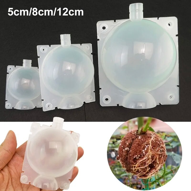 Jual Transparent Propagation tree Plant Rooting Ball branch root grow ...