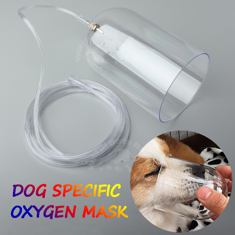 Jual Pet Dog Cat Oxygen Mask Dogs Foxes Long Noses Animals Cylinder ...