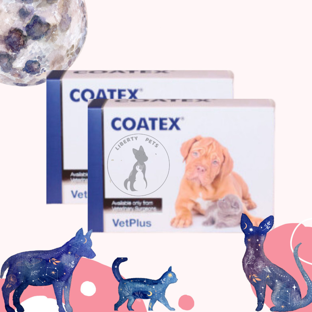 Jual Coatex EFA VetPlus Vitamin Kulit dan Bulu Kucing Anjing (1 Box ...