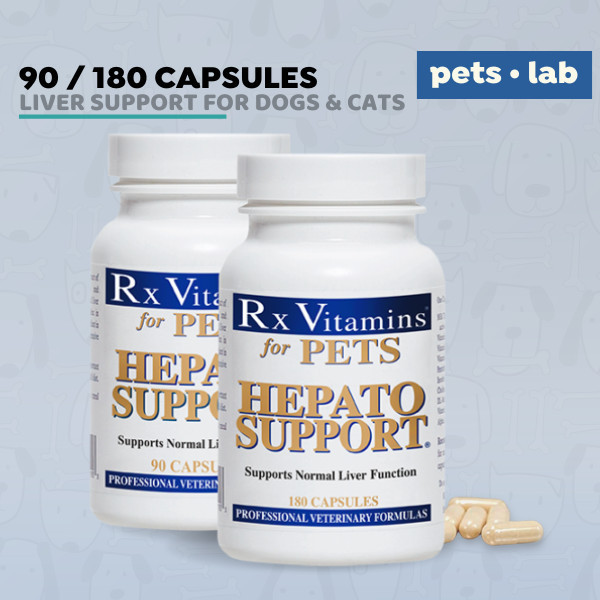 Jual Rx Vitamins for Pets Hepato Support Dogs Cats Liver Hati Anjing Kucing | Shopee Indonesia