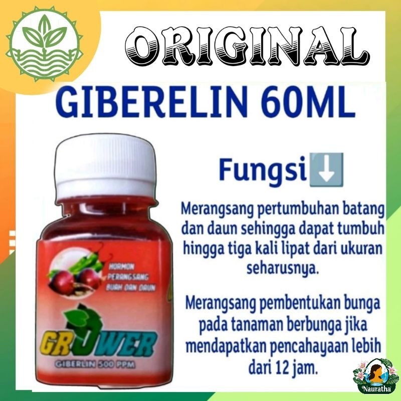Jual GIBERELIN HORMON PERANGSANG BUNGA BUAH DAN DAUN MURNI 60ML/ ZPT ...