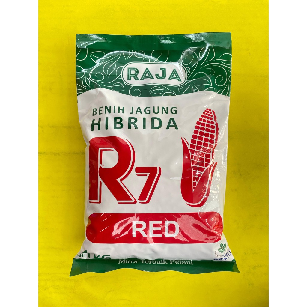 Jual Benih jagung hibrida R7 GOLD RED ULTIMATE UNION kemasan 1kg dari ...