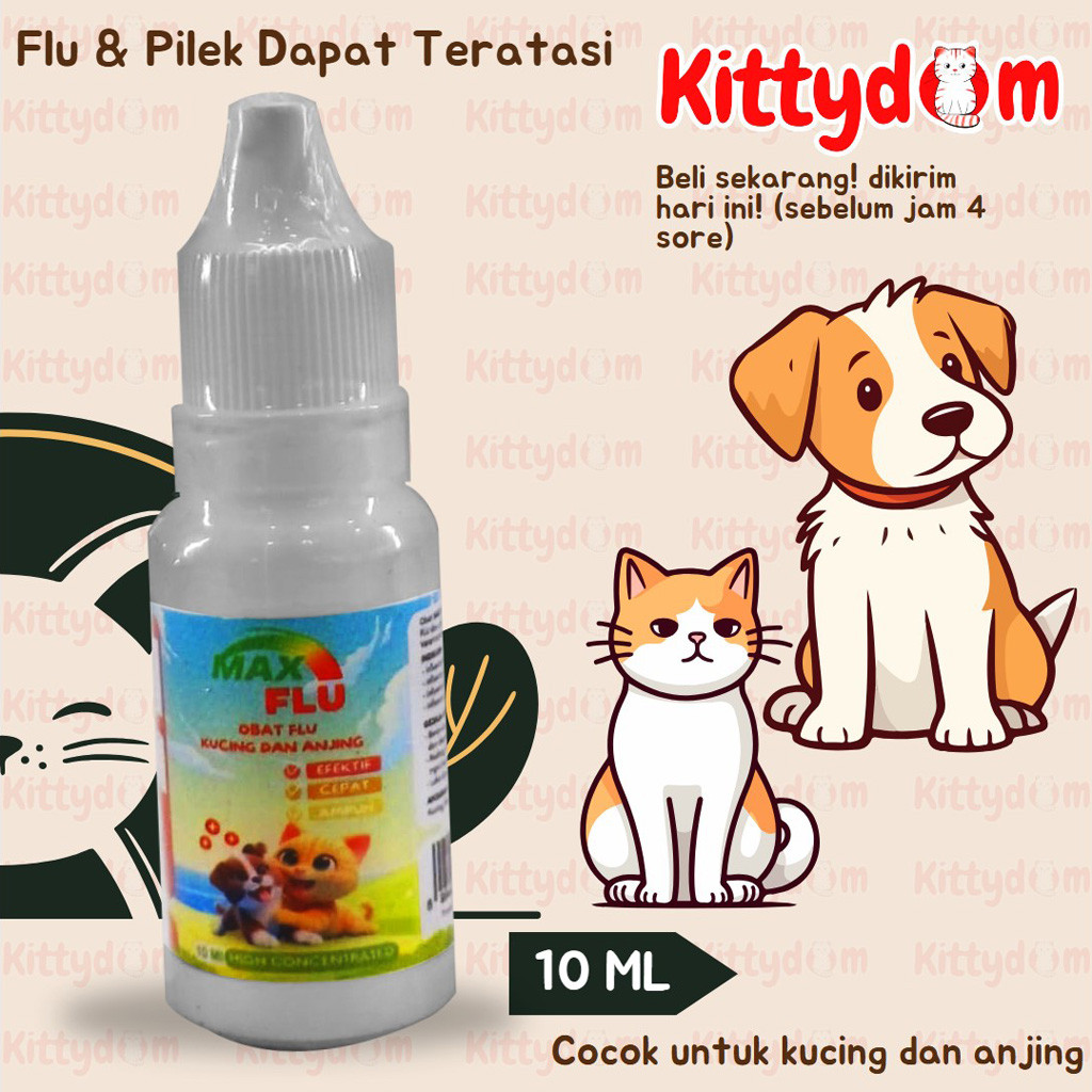 Jual KITTYDOM Max Flu 10 ml Obat Flu Kucing Batuk Pilek Bersin Ingusan ...
