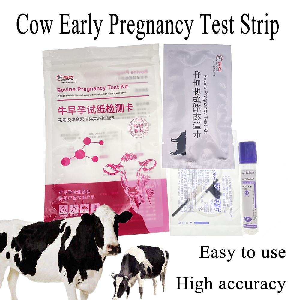 Jual Professional Bovine Cow Serum Testing Pregnancy Rapid Test Paper ...