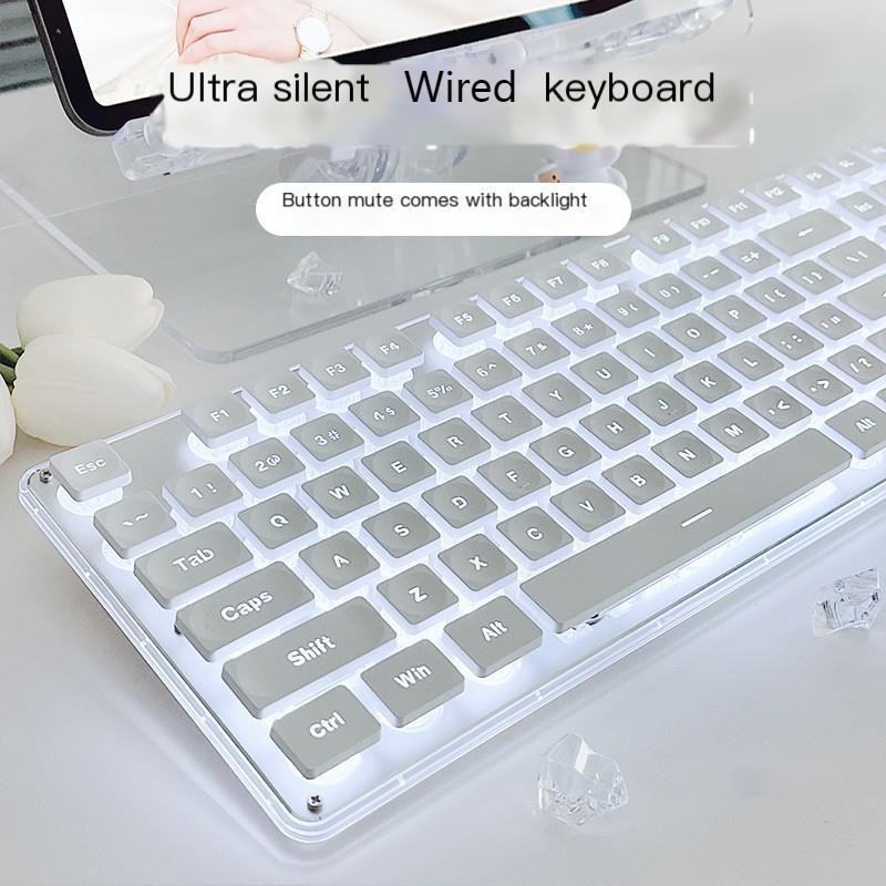 Jual Silent Keyboard Crystal Wired Computer Keyboard With Backlit ...