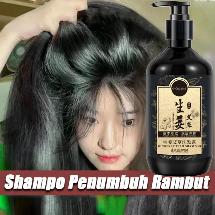 Jual Shampoo Rambut Herbal dengan Jahe dan Mugwort - Shampo Anti Rambut Rontok Parah | Mengatasi ...