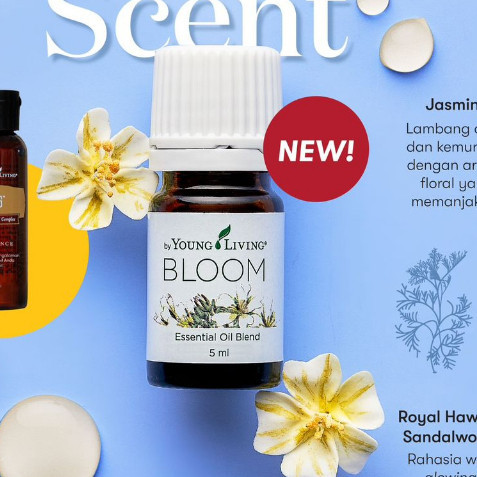 Jual YL Young Living Essential Oil -Bloom 5ml | Shopee Indonesia