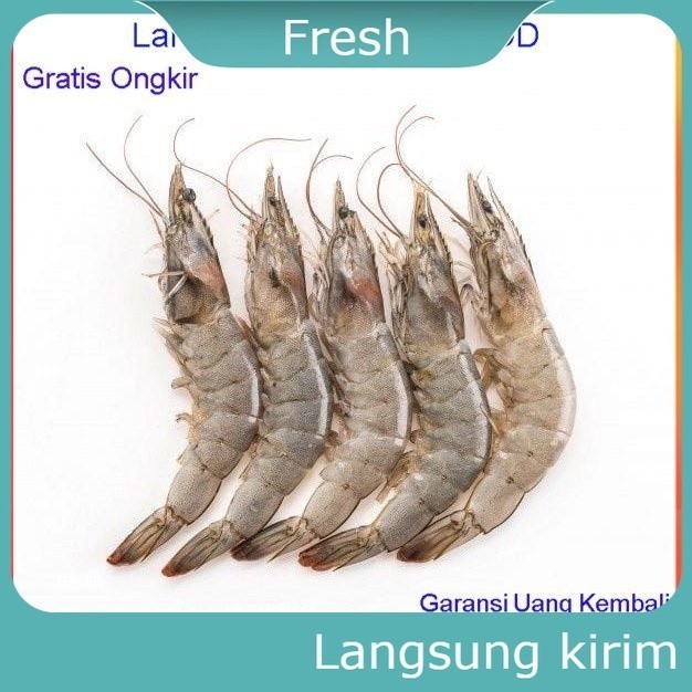 Jual Udang Segar Ukuran Sedang 250 Gram Fresh Sayur Mayur Sayur Sayuran ...