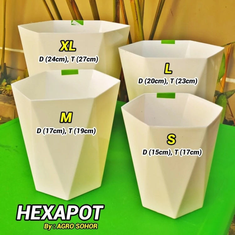 Jual Hexapot - Pot Aesthetic Tanaman Hias - by Agro Sohor | Shopee ...