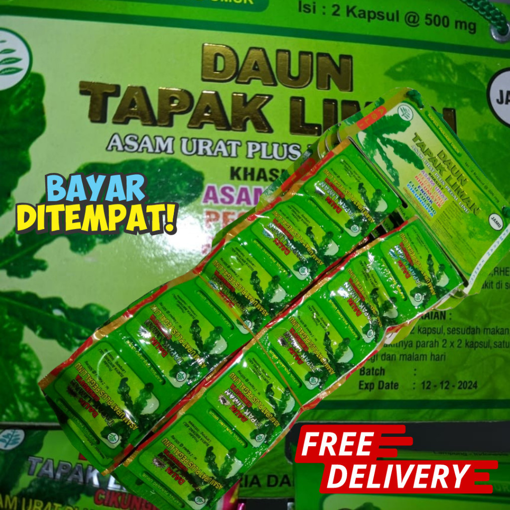 Jual TAPAK LIMAN KAPSUL ORIGINAL/daun tapak liman - asam urat plus ...