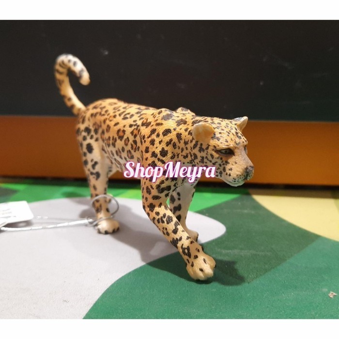 Jual Collecta Figure African Leopard | Shopee Indonesia