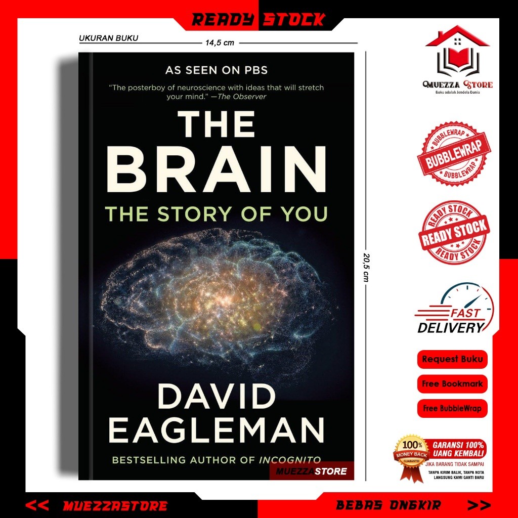 Jual The Brain: The Story of You by David Eagleman (English/Indonesia ...