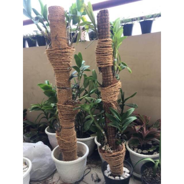 Jual TERMURAH..!! Tali Tambang Sabut Kelapa /Tali Tepes/Coconut fiber ...