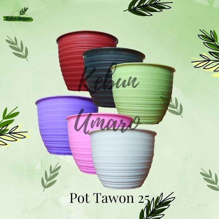 Jual Pot Tawon Ukuran 25 / Pot Tanaman / Pot Bunga / // TOKO TUMBUHAN ...