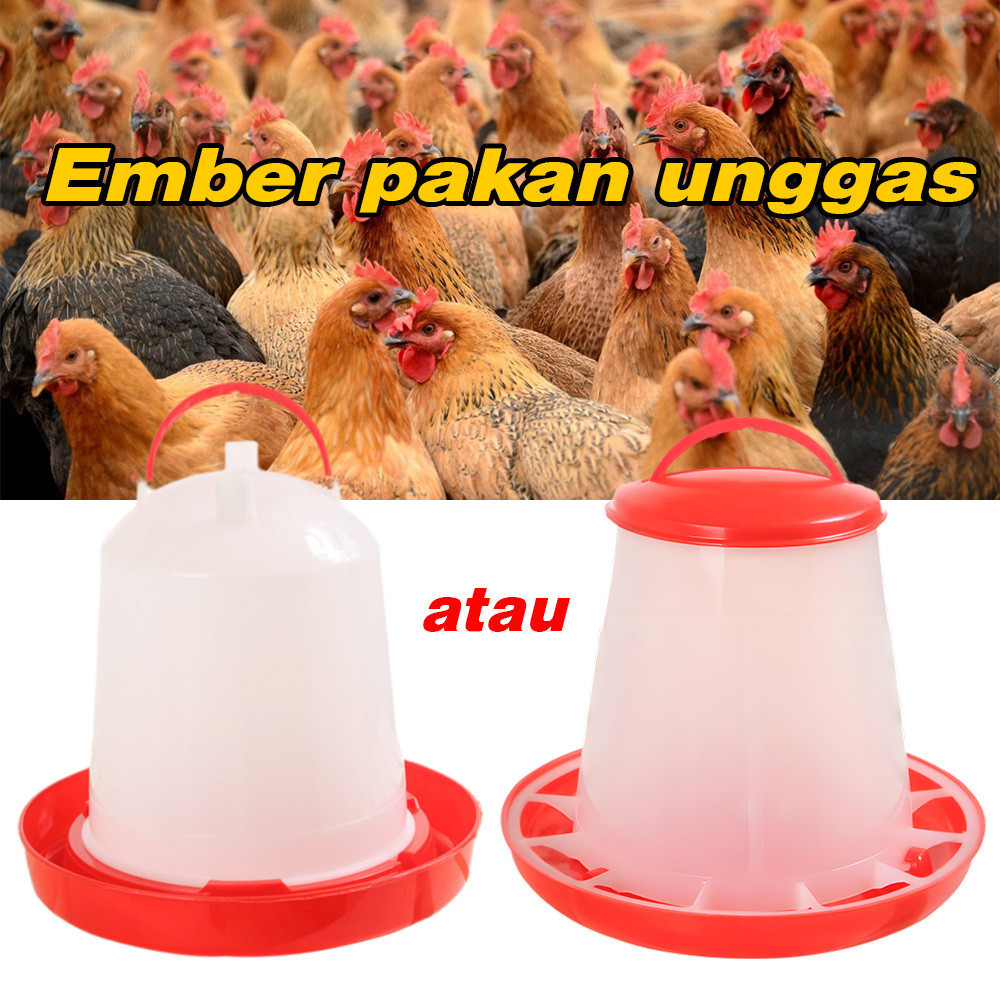Jual Ember pakan unggas/dispenser air unggas | Shopee Indonesia