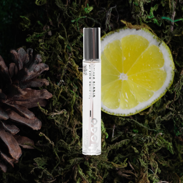 Jual _ODOR Eau De Parfum - Awakening 10ml | Shopee Indonesia