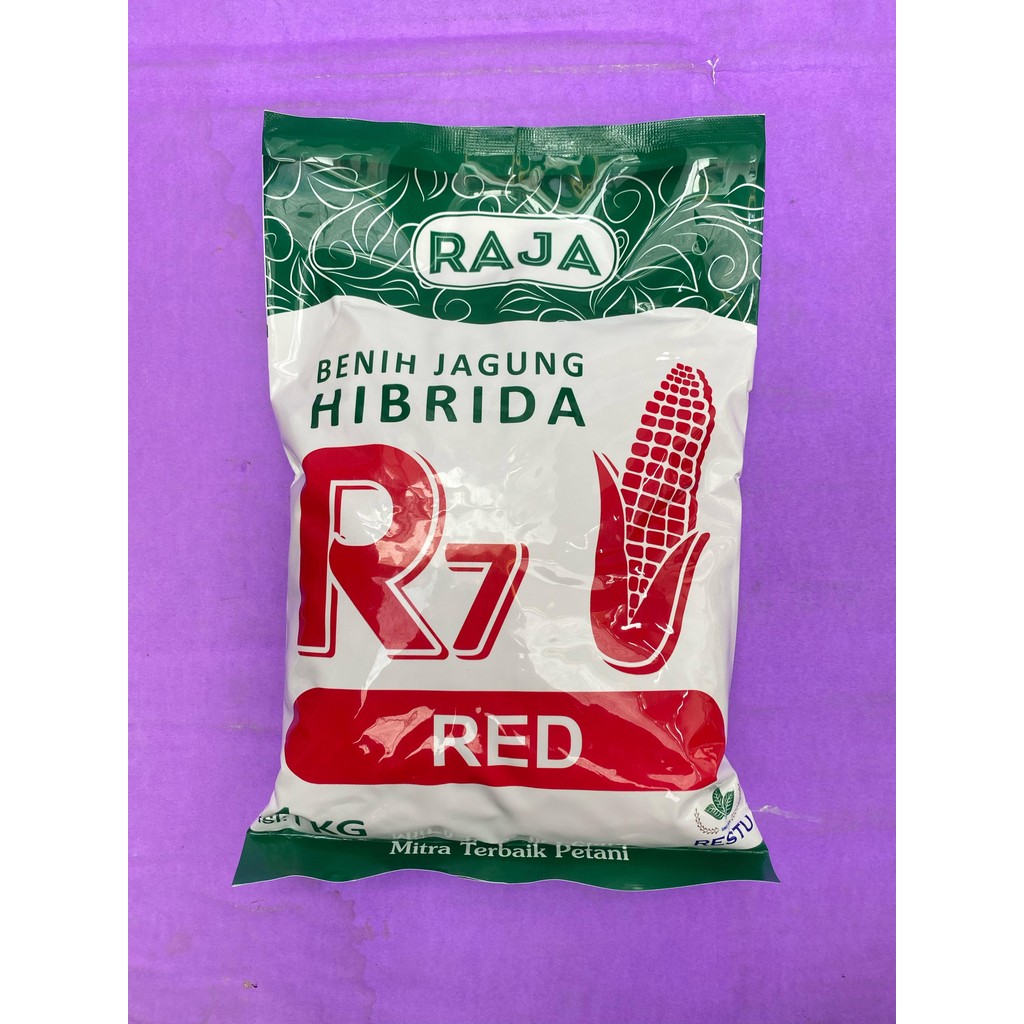 Jual Benih jagung hibrida tahan bulai R7 RED ULTIMATE GOLD UNION isi 1kg dari RAJA | Shopee ...