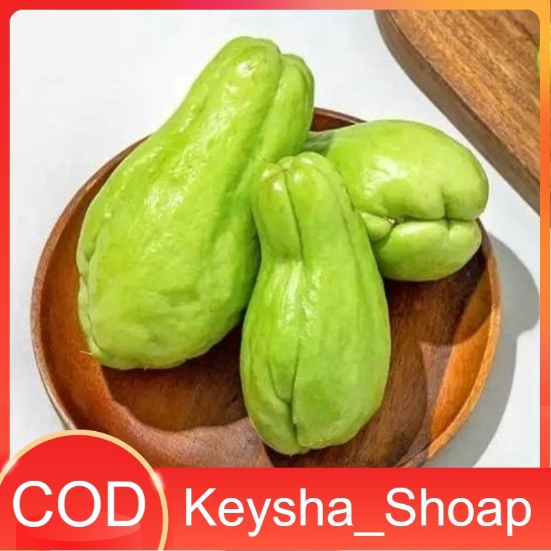 Jual Replika Sayuran Labu Siam / buah Labu siam / Mainan anak / Edukasi ...