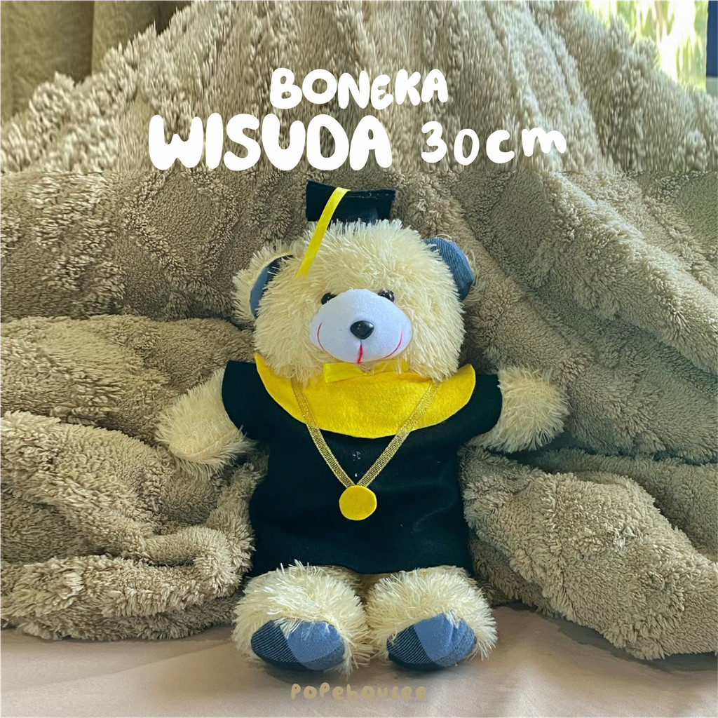 Jual BONEKA PROFESI WISUDA 30cm TEDDY BEAR BERUANG HADIAH KADO SOUVENIR ...