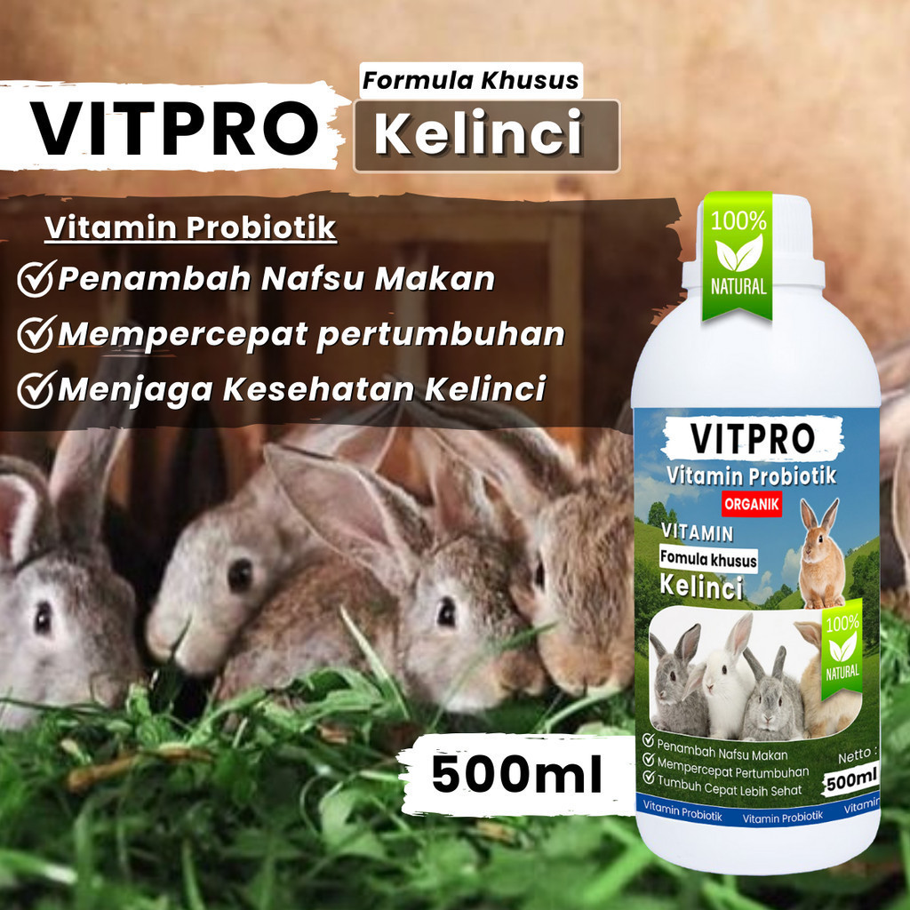 Jual VITPRO Vitamin Probiotik Vitamin Suplemen Kelinci Hias Anggora ...