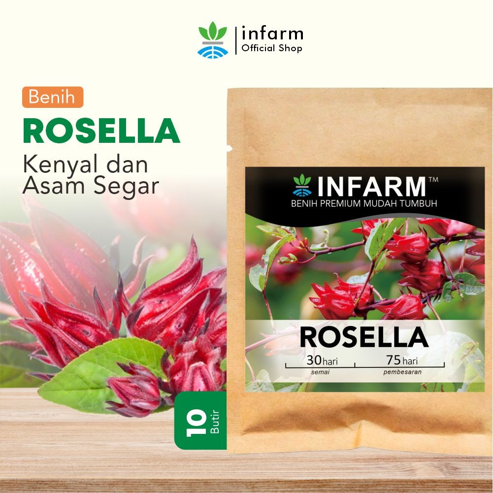 Jual INFARM - Benih Bibit Biji Super Bunga Rosella | Shopee Indonesia