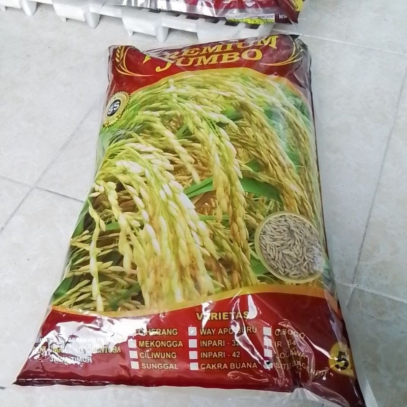 Jual BENIH PADI UNGGUL SITUBAGENDIT 5KG | BENIH PADI UNGGUL SITU BAGENDIT BESERTIFIKAT 5KG #ACS ...