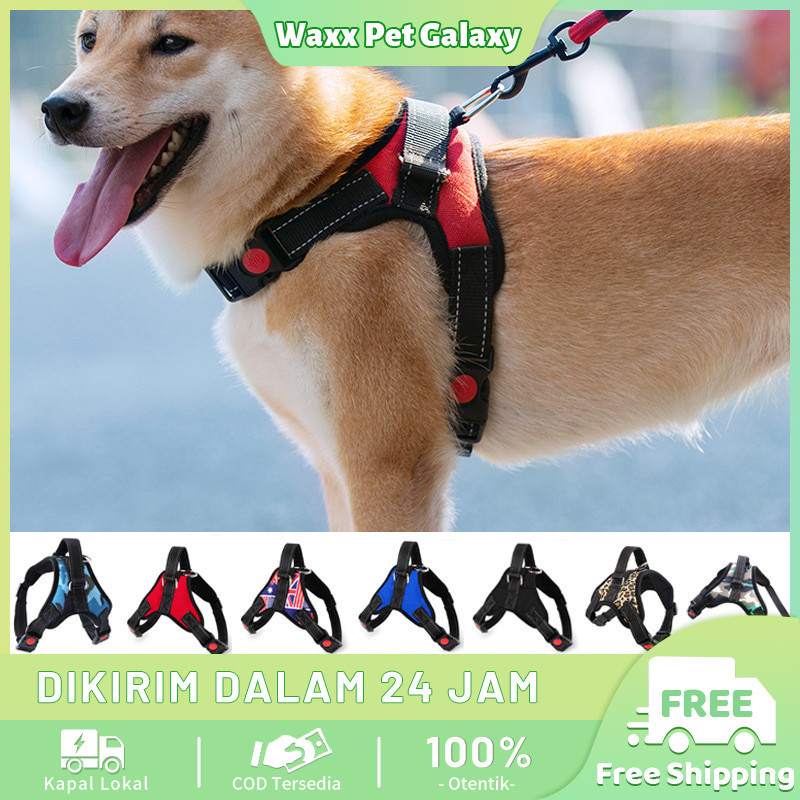 Jual Harness Anjing Tali Tuntun Rompi Anjing Breathable Harness Leash ...