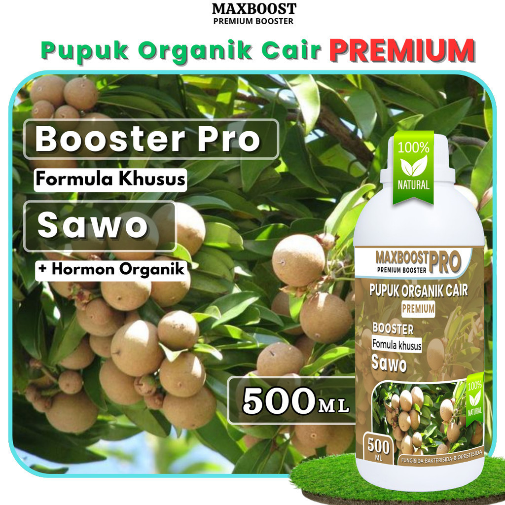 Jual pupuk organik cair plus hormon pelebat buah sawo, poc kompos khusus tanaman buah sawo Pupuk ...
