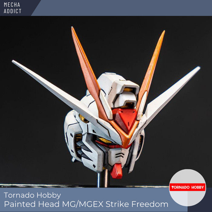 Jual Tornado Hobby Pre Painted MG / MGEX Strike Freedom Gundam Head ...