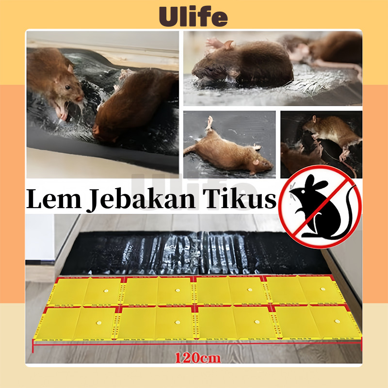 Jual 0.6/1.2M Lem Perangkap Tikus Lem Jebakan Tikus Pembasmi Tikus ...