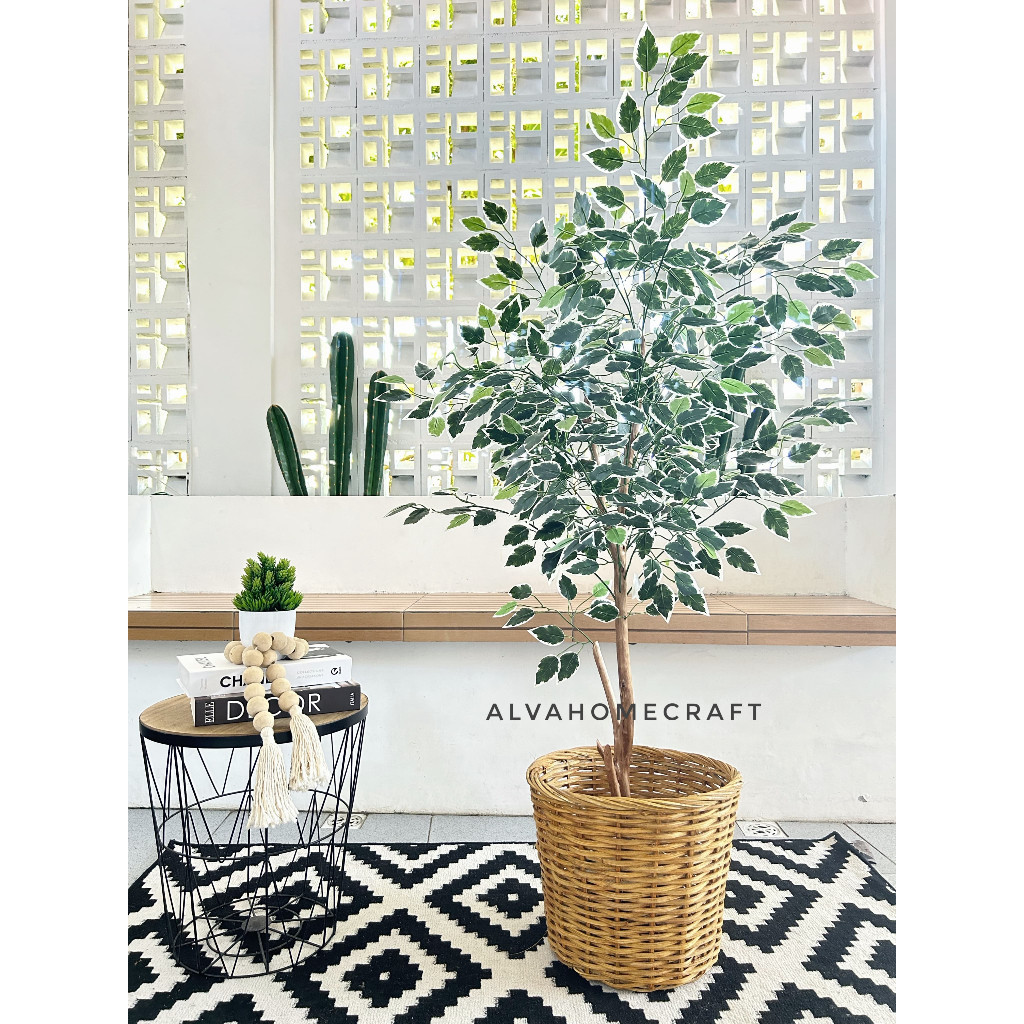 Jual Pohon Artificial Aesthetic Beringin Varigata Ruang Tamu-Home decor ...
