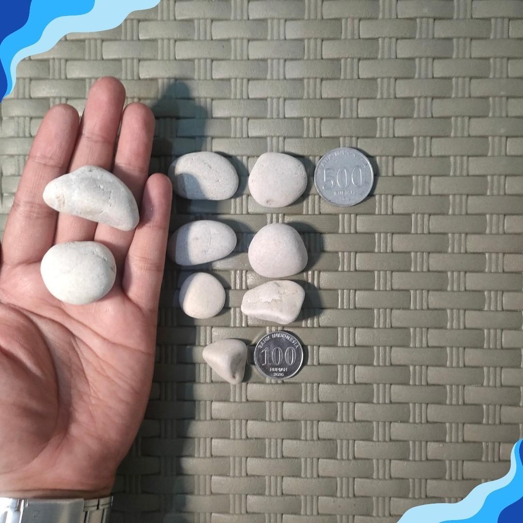 Jual Batu Koral Putih 3-5cm Batu Coral Kupang kemasan 1Kg Batu Hias ...