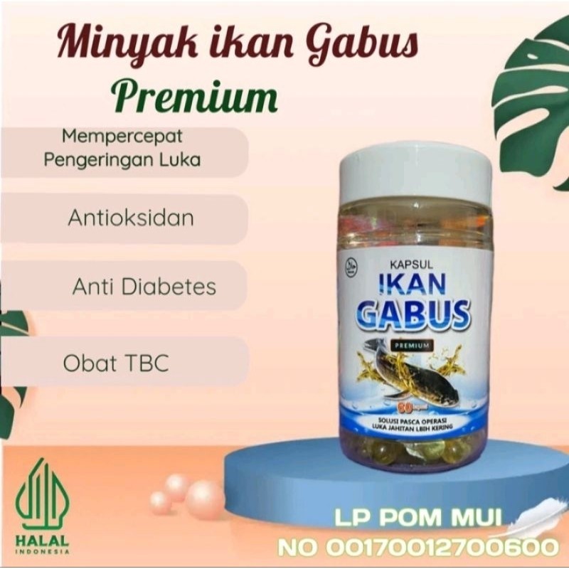 Jual Kapsul Ikan Gabus Premium Minyak Albumin Obat Luka Pasca Operasi Cesar,Luka Bakar,Luka ...