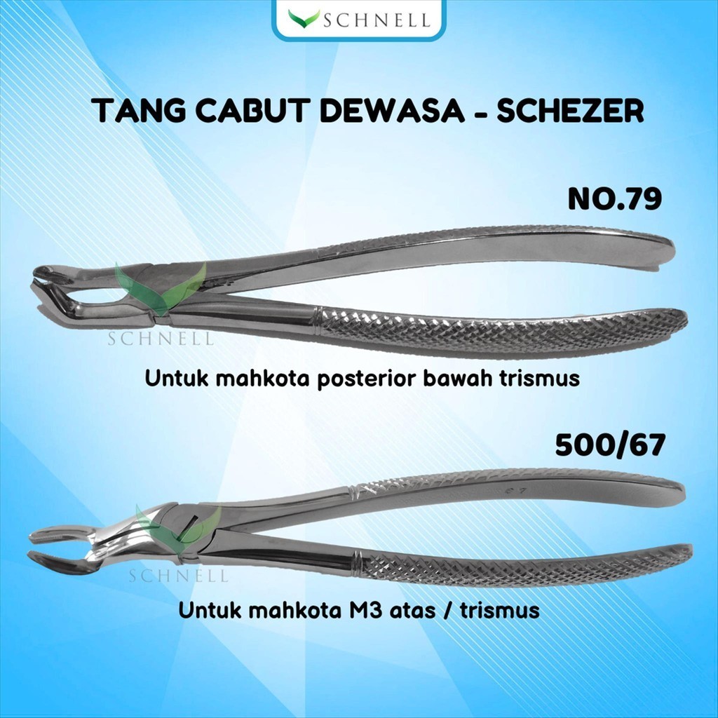 Jual Tang Cabut Gigi Trismus Dewasa Dental Instrument - Schezer ...