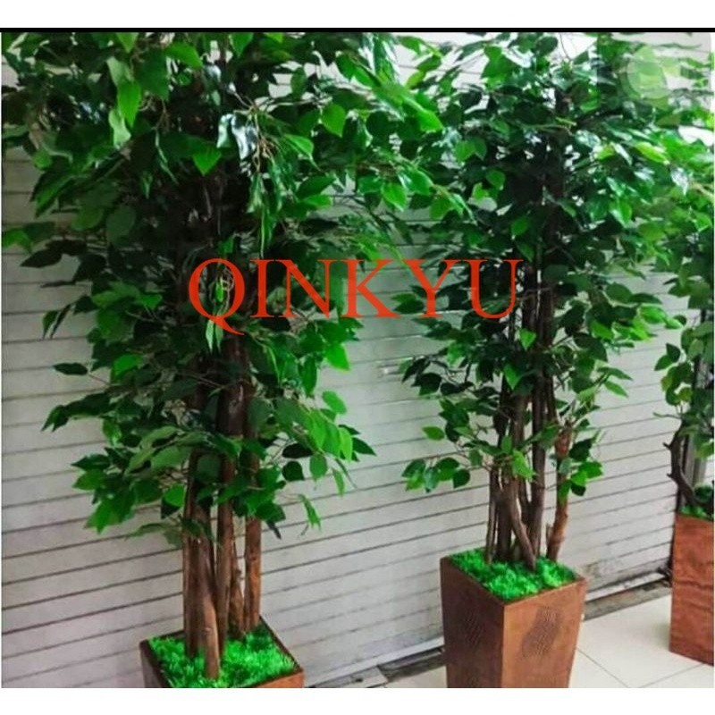 Jual pohon hias 150cm jumbo beringin artificial/rimbun daun bahan latex ...