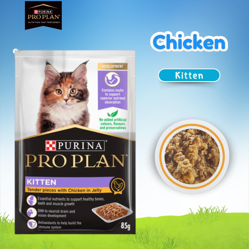 Jual PROPLAN POUCH KITTEN CHICKEN 85GR / PP POUCH KITTEN | Shopee Indonesia