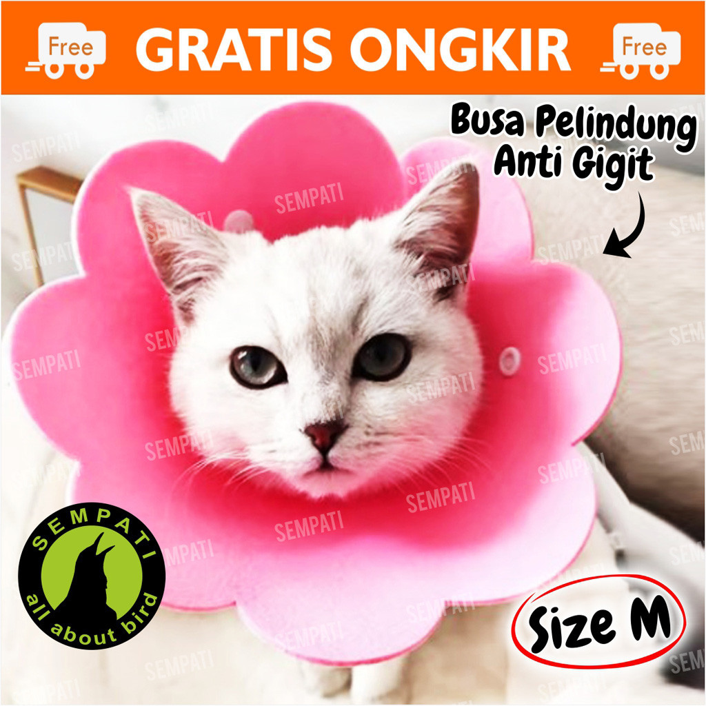 Jual SEMPATI Collar Busa Kucing 4mm Size M Medium Pet Colar Corong ...