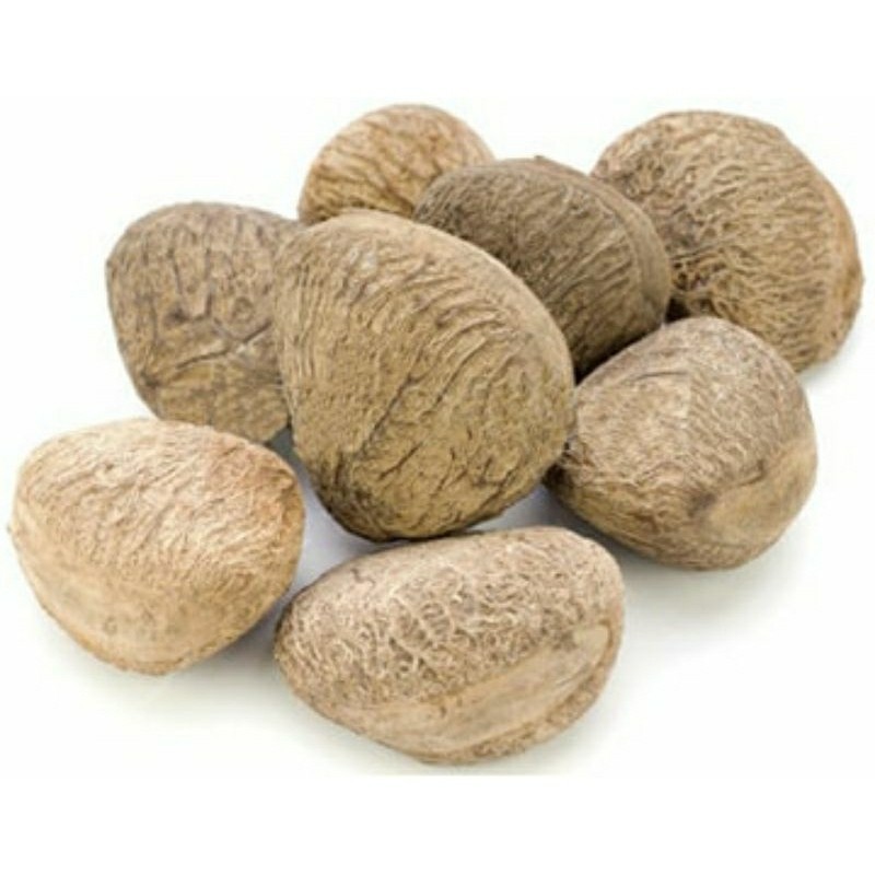 Jual Kluwak / kluwek / kepayang / picung 1kg Kualitas Terbaik | Shopee ...