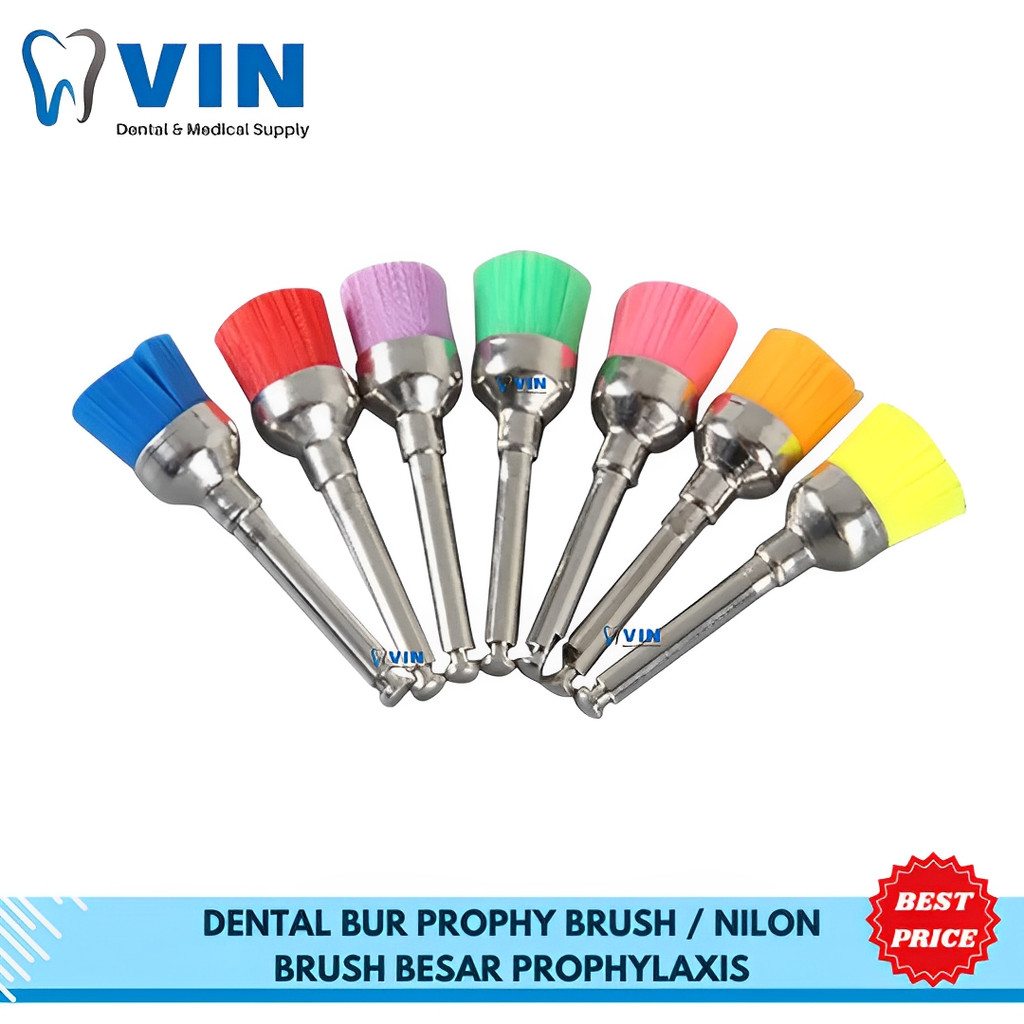Jual Dental bur prophy nylon brush prophylaxis burs poles profilaksis ...