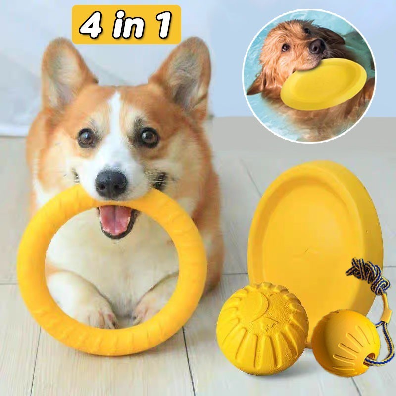 Jual 4 IN1 Pastel Frisbee Lempar Tangkap Anjing Frisbee Silikon Rubber ...